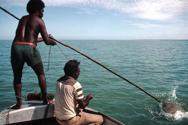 Indigenous hunting of protected species under the microscope - Sporting ...