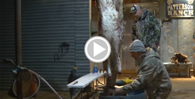Processing A Deer In 10 Minutes Sporting Shooter