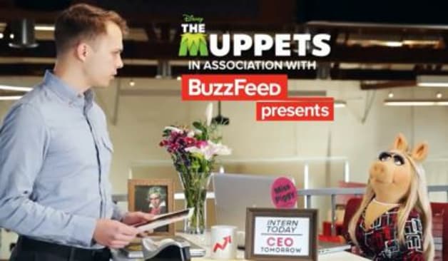 BuzzFeed hired the Muppets as interns - AdNews