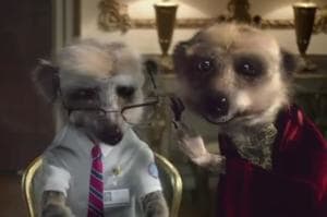 AdNews: Comparethemarket introduces new meerkat, Sergei, as Aleksandr ...
