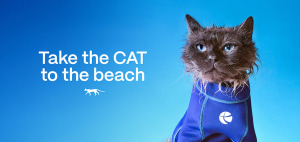 Transperth ‘CAT Bus Service’ via Moonsail - AdNews