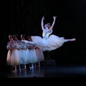 Queensland Ballet: Giselle - Dance Australia
