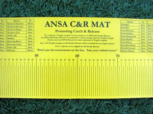 ANSA releases brag mats - Fishing World