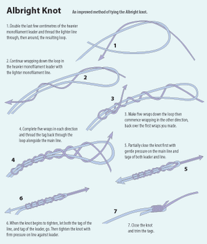 The Albright Special - Fishing World