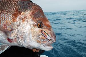 Ouch!! Fish hook injuries - Fishing World