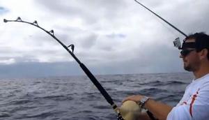 VIDEO: Larva lures blue marlin action - Fishing World