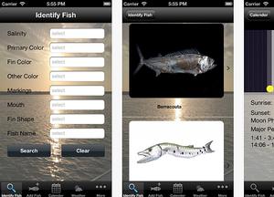 What fish is this? Smartphone app - Fishing World