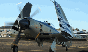Warbirds: Wide Bay Airshow gets iconic RAAF and RAN warbirds ...