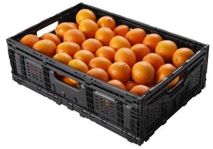 Aldi and CHEP launch a new generation crate - Food & Drink Business