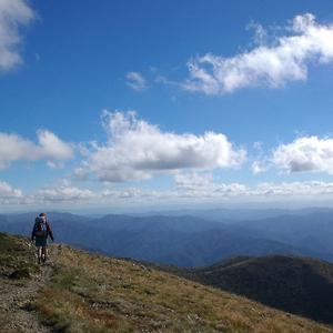 Razorback trail showcases the best of the Vic Alps - Great Walks