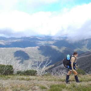 Razorback trail showcases the best of the Vic Alps - Great Walks