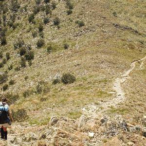 Razorback trail showcases the best of the Vic Alps - Great Walks