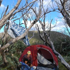 Razorback trail showcases the best of the Vic Alps - Great Walks