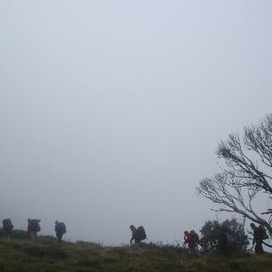 Razorback trail showcases the best of the Vic Alps - Great Walks