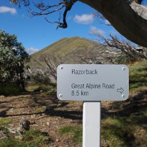 Razorback trail showcases the best of the Vic Alps - Great Walks