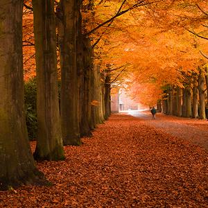 Photo Tip of the Week: How to Master Depth of Field - Australian ...