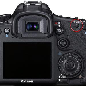 Photo Tip of the Week: Back-Button Autofocus - Australian Photography