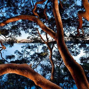 Peter Solness: Shooting in the Dark - Australian Photography