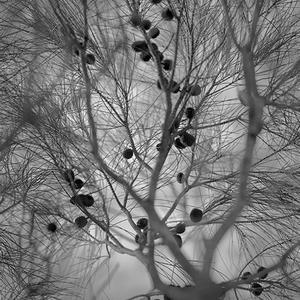 Christopher Houghton: Time and Place - Australian Photography