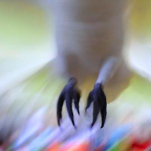 Abstract Photo Competition: Winner and Shortlisted Images - Australian ...