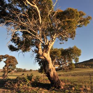 Photo Tip of the Week: Understanding Light (Part II) - Australian ...