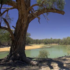 Photo Tip of the Week: Understanding Light (Part II) - Australian ...