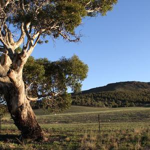 Photo Tip of the Week: Understanding Light (Part II) - Australian ...