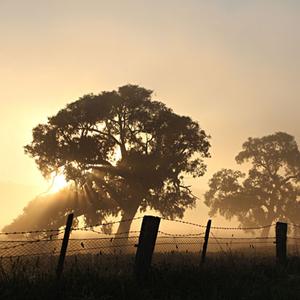 Photo Tip of the Week: Understanding Light (Part II) - Australian ...