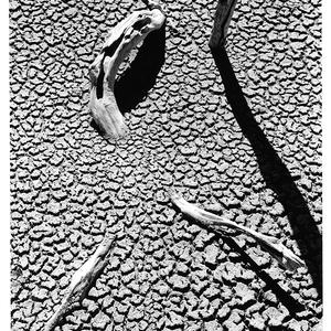 John Cato Retrospective at BIFB 2013 - Australian Photography