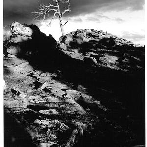 John Cato Retrospective at BIFB 2013 - Australian Photography