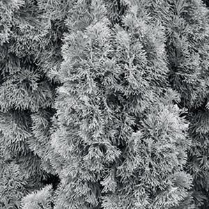 Profile: Jill Crossley - Australian Photography