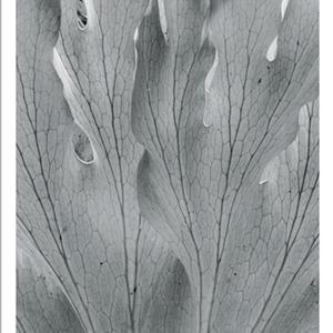 Profile: Jill Crossley - Australian Photography