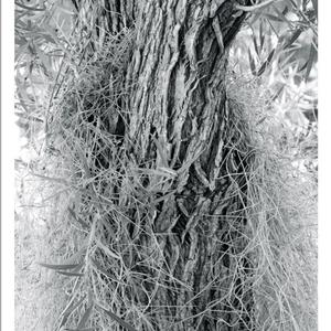 Profile: Jill Crossley - Australian Photography