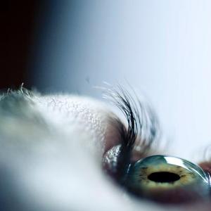 Eyes Photo Competition: Winner and Shortlisted Images - Australian ...