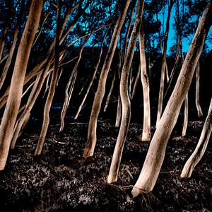 Peter Solness: Shooting in the Dark - Australian Photography