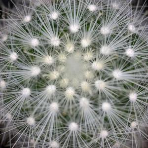 Repetition Photo Comp: Winner Announced - Australian Photography