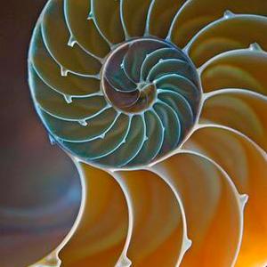 Curves Photo Comp: Best of the Best - Australian Photography