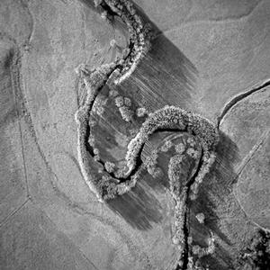 Profile: Jackie Ranken - Australian Photography