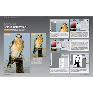 How to fix colour in digital photos - Australian Photography