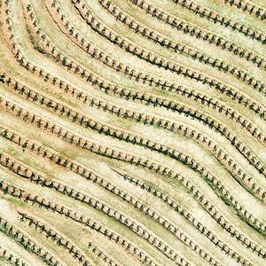 Photo Tip of the Week: How To Improve Your Composition Skills (Part 1 ...