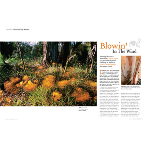 How to shoot in windy weather - Australian Photography