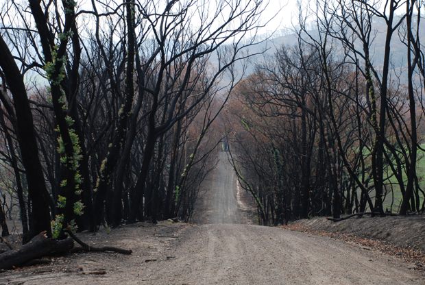 Image Doctor: Slow Recovery - Australian Photography