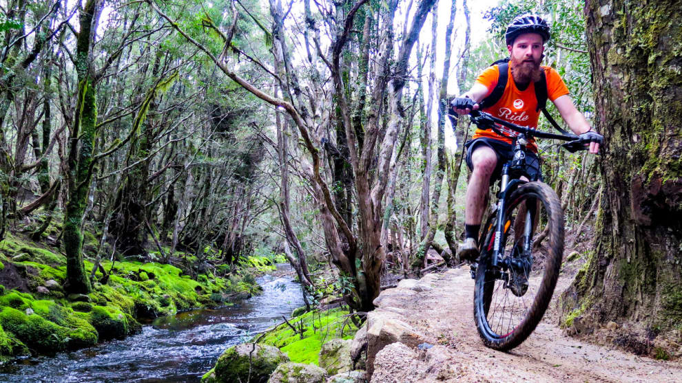 Blue Derby Trail Openings - Mountain Biking Australia magazine