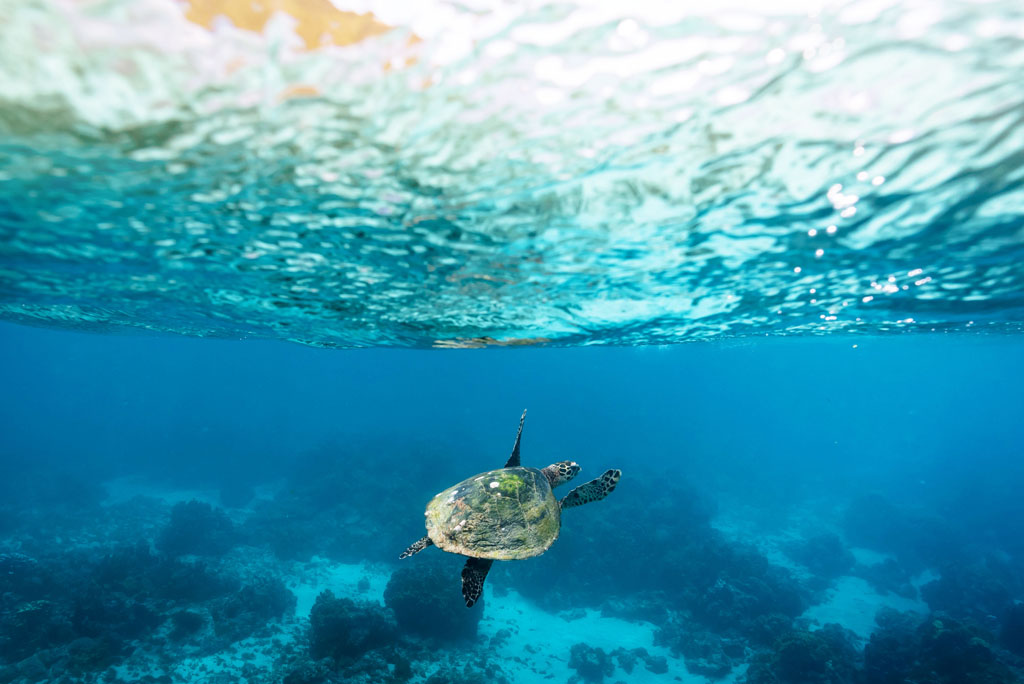 Who won our May 'travel' photo comp? - Australian Photography