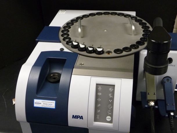 Scientists fast-track fish ageing research - Fishing World