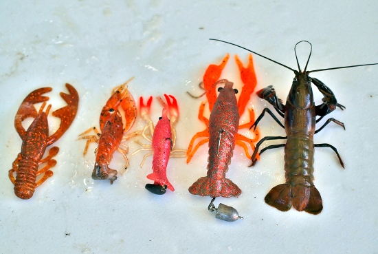 TESTED: Savage Gear Yabby - Fishing World