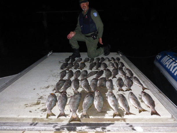 Fisher faces hefty fine for illegal trag - Fishing World