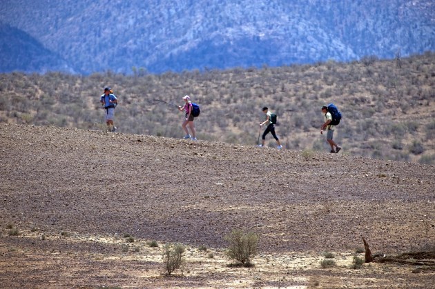 Hike with camels in the Flinders Ranges - Great Walks
