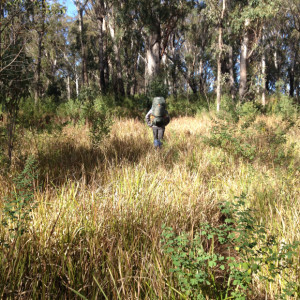 Green Gully Track, NSW's best hut-to-hut walk - Great Walks