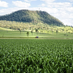 January 'Farm' Photo Comp: Best of the Best - Australian Photography